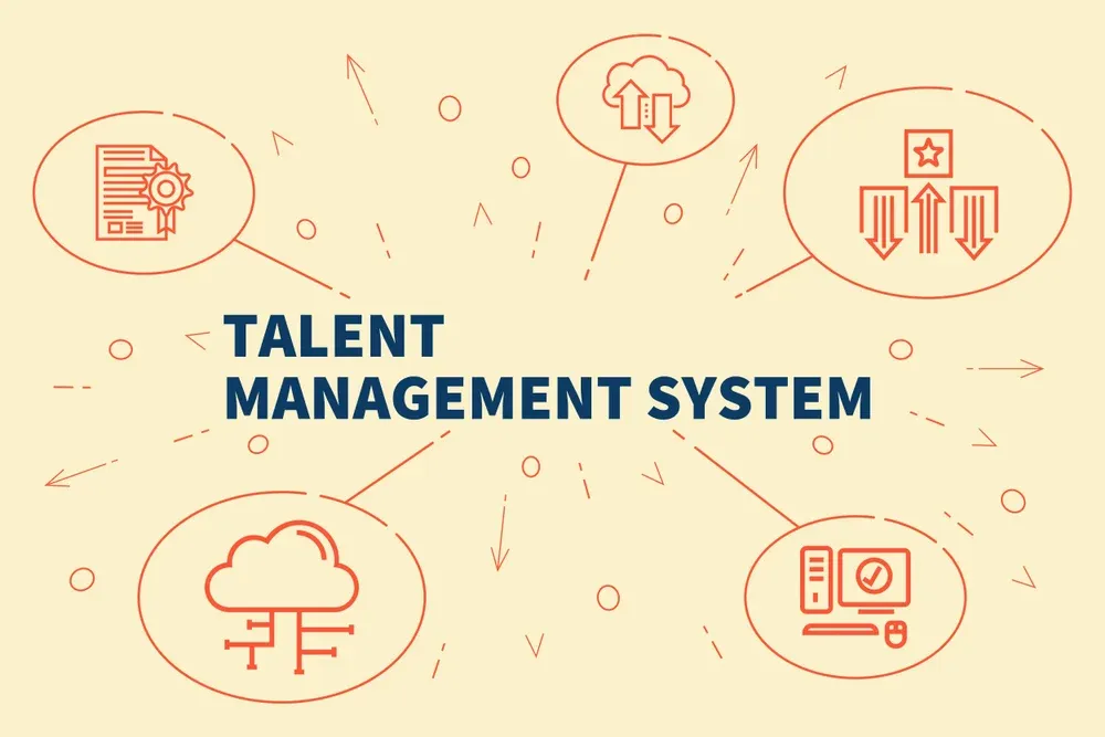 Which Is the Best Talent Management System for HR in 2022?