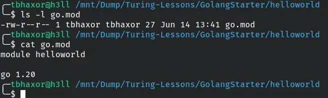 Get Started With Golang
